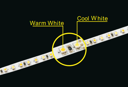 CCT Tunable Strip - Beyond LED Inc